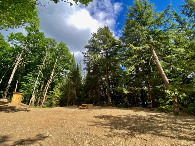 image8-3 – Limberlost Forest and Wildlife Reserve