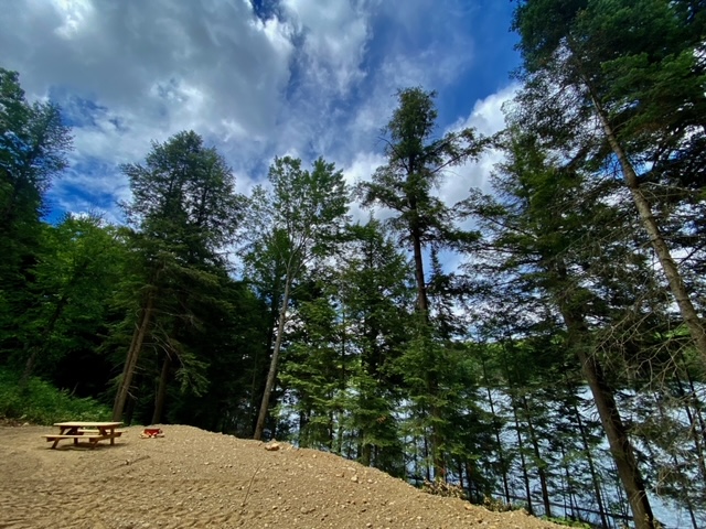 image9-1 – Limberlost Forest and Wildlife Reserve