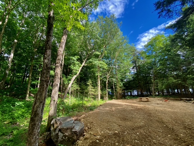 image3-2 – Limberlost Forest and Wildlife Reserve