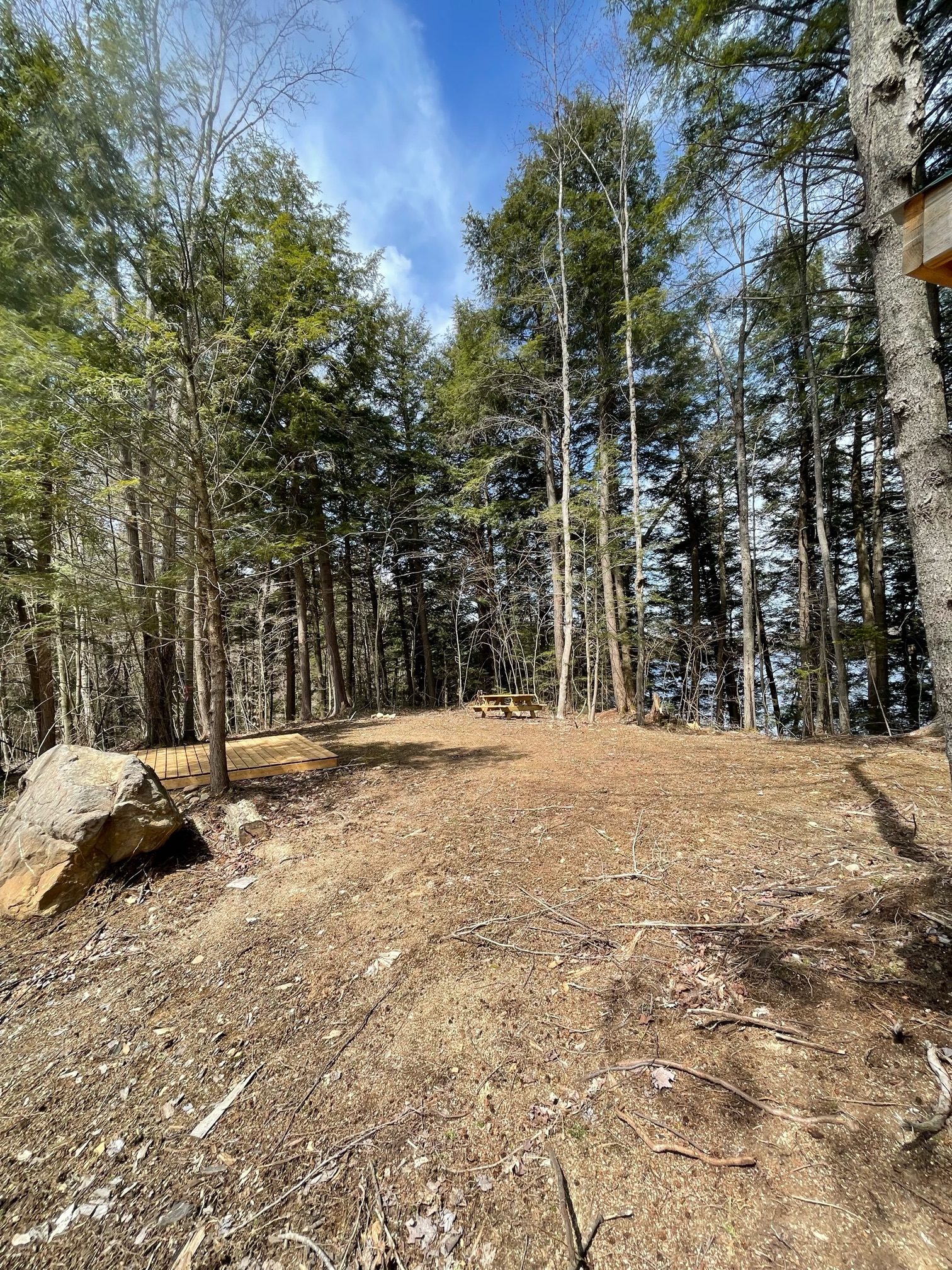 image0-3 – Limberlost Forest and Wildlife Reserve