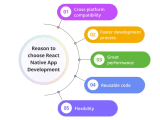 Top 15 React Native App Development Companies 2026