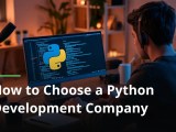 Top 12 Python Development Companies Comparison 2026