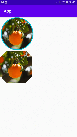 Display Shapeable Image In Android Lindevs