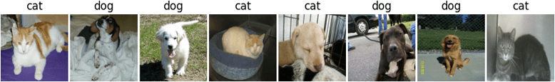 Classify Images Of Dogs And Cats Using Cnn And Tensorflow 2 Lindevs