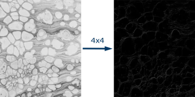 Apply Morphological Gradient Operation To An Image Using Opencv Lindevs