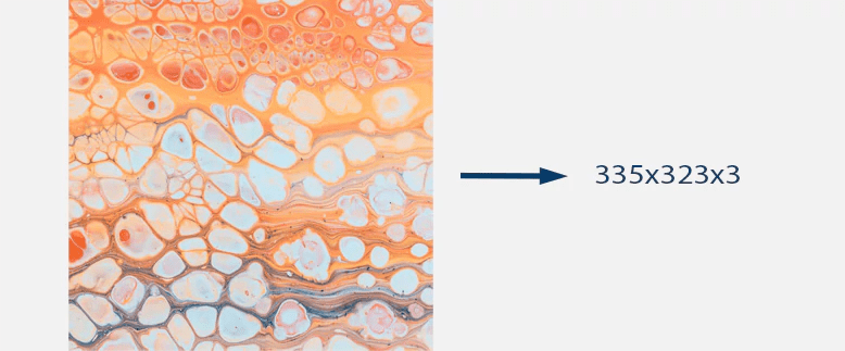 Get Image Size Using Opencv Lindevs