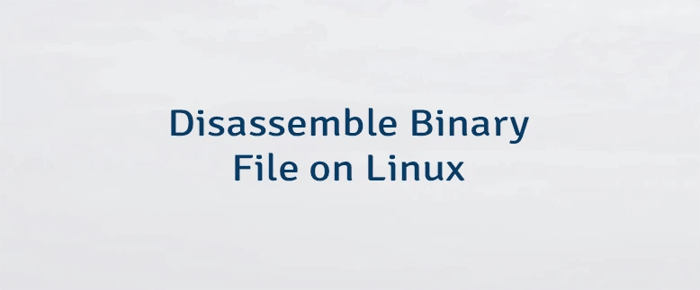 Disassemble Binary File On Linux Lindevs