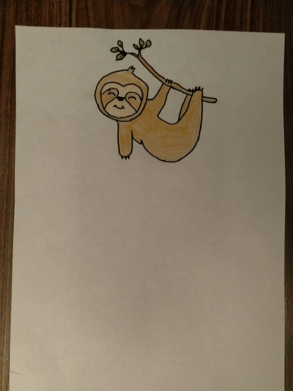 Brooke’s sloth – Lings Primary School Blogs