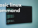 Essential Linux Commands Cheat Sheet For Beginners And Developers