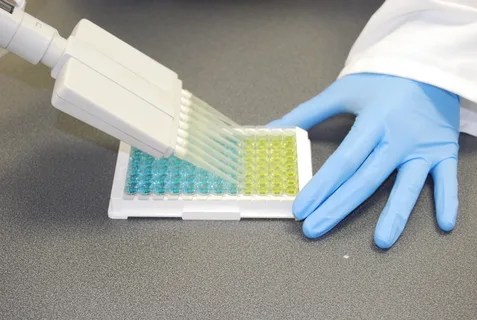 Glycogen Assay Kit Market