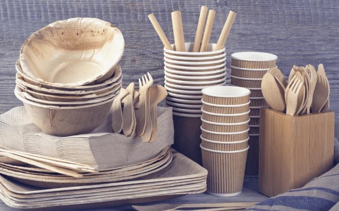 Exploring the Booming Foodservice Disposables Market: Trends, Drivers ...