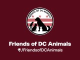 Friends Of Dc Animals Instagram Facebook Linktree