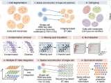 10 Single Cell Spatial Transcriptomics Scomicnotes