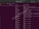 List Of Commands To Get Linux System Info Using Terminal Linuxshout