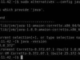 How To Install Java 8 11 On Amazon Linux 2023 Linuxshout