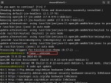 2 Ways To Install Openjdk 11 On Debian 12 Server Or Desktop Linuxshout