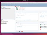 How To Install Oracle Sql Developer On Ubuntu Linux
