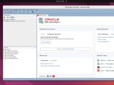 How To Install Oracle Sql Developer On Ubuntu Linux