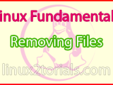 Removing Files Linux Tutorials