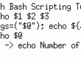 Shell Scripting Bash Scripting Tutorial Overview For Every One