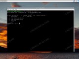 Auto Start Python Script On Raspberry Pi