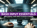 Bash Read Command Capture User Input Effectively