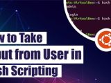 How To Take Input From User In Bash Scripting Linux Genie