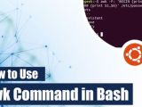How To Use Awk Command In Bash Linux Genie