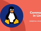 Essential Examples Of The Ps Command In Linux