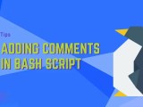 How To Add Single Or Multiline Comment In Bash Script