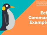 Echo Command In Linux 7 Practical Examples