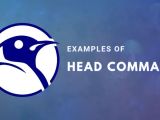 Head Command In Linux 5 Essential Examples