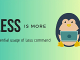 9 Practical Example Of Less Command In Linux