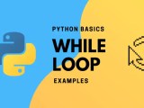 Python While Loop Examples