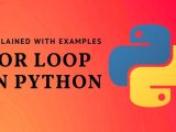 Python For Loop 8 Practical Examples