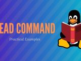 Linux Read Command 6 Practical Examples