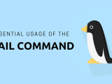 5 Practical Examples Of Tail Command In Linux