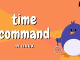 Put A Timer On Running Commands With Timeout Command In Linux