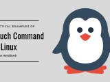 Touch Command In Linux 9 Useful Examples
