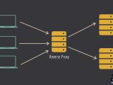 How To Use Nginx Reverse Proxy With Multiple Docker Apps