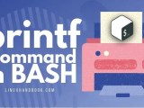 Echo Command In Linux 7 Practical Examples