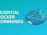 How To Run Linux Commands Inside Docker Containers