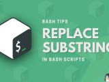 How To Replace Substring In Bash Natively