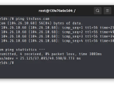 Ping Command Not Found Install Ping On Ubuntu