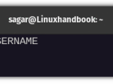 How To Print Environment Variables In Linux