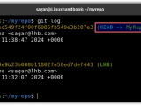 Check Git Commit History