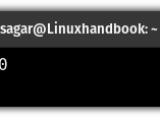 Using Kill Command In Linux 4 Examples