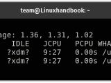 W Command In Linux 6 Examples