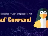 Lsof Command In Linux 7 Practical Examples