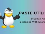 7 Practical Usage Of Paste Command In Linux